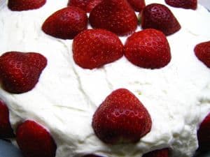 Busy Day Cake - Tiny New York Kitchen